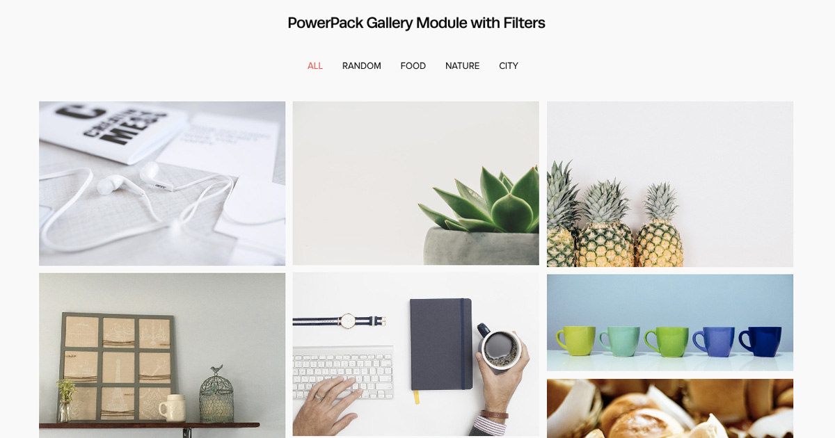 Beaver Builder Filterable Gallery Module - Advanced Gallery Module