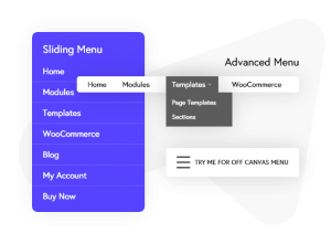 Beaver Builder Modules - 50+ Modules for Beaver Builder - PowerPack