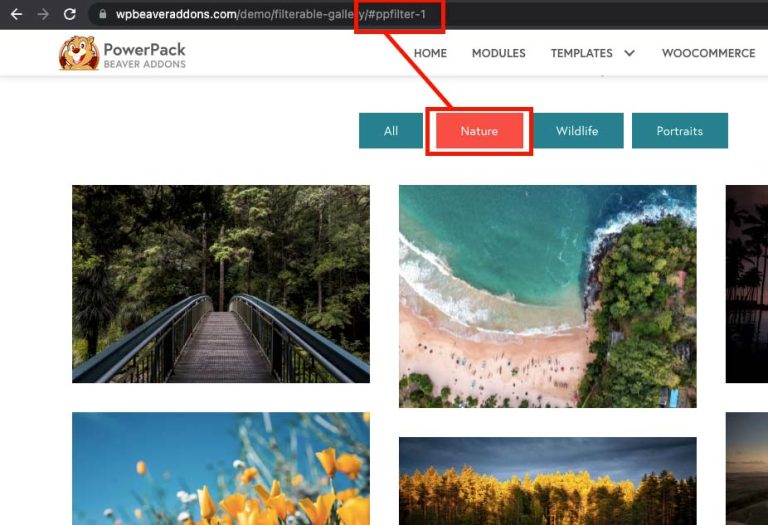 How to Target Filters by URL in Filterable Gallery? - PowerPack Beaver ...