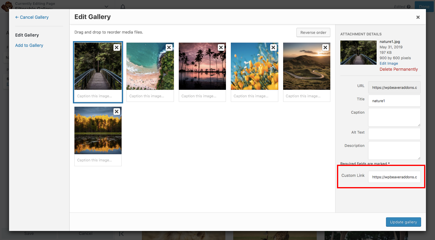 How to Create a Portfolio Section with Filterable Gallery in Beaver Builder
